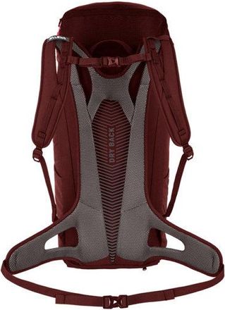 Salewa Alp Mate 24 Ws - Wanderrucksack - Damen