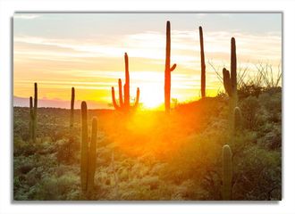 Wallario selbstklebendes Poster - Sonnenaufgang in der W&uuml;ste, Aufkleber in Premiumqualit&auml;t, Klebefolie Gr&ouml;&szlig;e: 70 x 100 cm (Riesenposter)