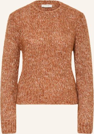 Cat Noir Catnoir Pullover orange