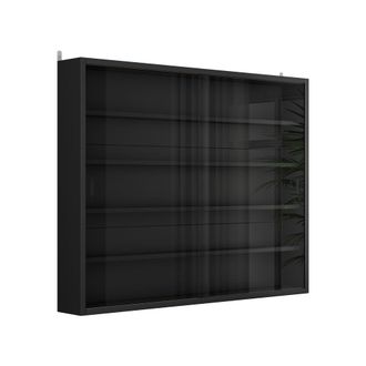 Vicco Wandvitrine Clario, Schwarz, mit 4 Einlegeb&ouml;den