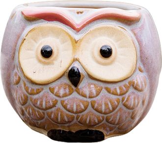 Generic Eulen-Blumentopf, Eulen-Blumentopf, klare Textur, Belüftung, schönes Aussehen, Keramik-Abflusslöcher, Pflanze, große Augen, Blumentopf, Eule, Blumento