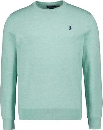 Polo Ralph Lauren Herren Pullover gr&uuml;n unifarben