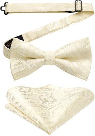 Hisdern Noeuds Papillon Champagne Homme et Mouchoir avec Crochet déjà lié et Réglable Noeud Papillon à Motif Cachemire Carré de Poche Ensemble