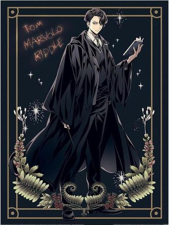 Harry Potter 40 cm x 30 cm PM10781