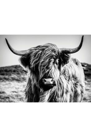 Euroart Leinwandbild, Mehrfarbig, Holz, Papier, Kiefer, rechteckig, 135x100x3 cm, Keilrahmen, Bilder und Zubeh&ouml;r, Wandbilder, Leinwandbilder