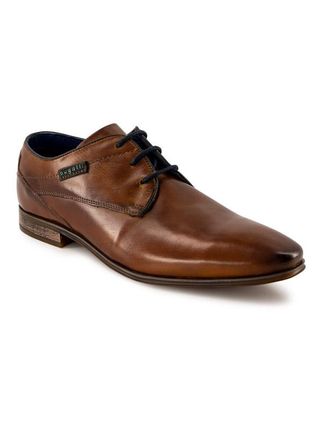 Bugatti Herren Derby braun Glattleder