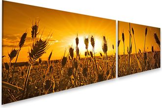 Islandburner Leinwandbild sonne landwirtschaft hintergrund brot getreide farbe mais dämmerung oh - Leinwand 160x40cm - 2 Teile