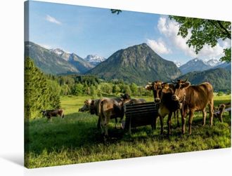 Calvendo Premium Textil-Leinwand 75 x 50 cm Quer-Format Allgäuer Braunvieh | Wandbild, HD-Bild auf Keilrahmen, Fertigbild auf hochwertigem Vlies, Leinwanddruck