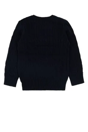 Polo Ralph Lauren Cable-Knit Crew Neck Sweater - Navy