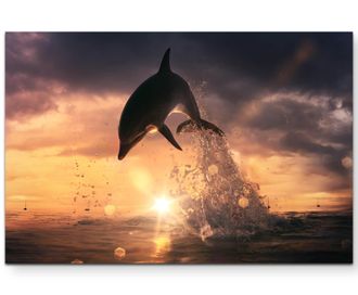 Paul Sinus Art Leinwandbilder | Bilder Leinwand 120x80cm Springender Delfin im Sonnenuntergang
