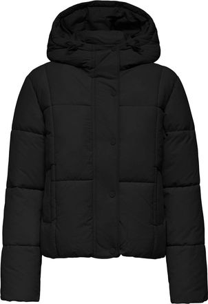 Jacqueline de Yong Damen kurze Steppjacke JDYWonder Puffer Winterjacke mit Kapuze 15353998 Black L