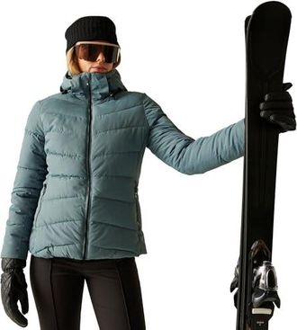 Dare 2B Glacier Veste de ski pour femme en tissu imperm&eacute;able et respirant, Gris &eacute;l&eacute;ment, 38