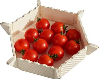 Generico Faltbares Schneidebrett: Faltbare Schneidematte, Gontainer Sch&uuml;ssel, K&uuml;chenmatte, f&uuml;r Camping, Wohnung, Arbeitsplatte, Zuhause, Esszimmer, Picknick, R