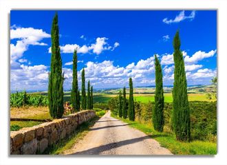 Wallario selbstklebendes Poster - Zypressenweg in der Toskana, Aufkleber in Premiumqualit&auml;t, Klebefolie Gr&ouml;&szlig;e: 70 x 100 cm (Riesenposter)