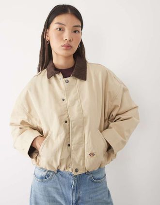 Dickies veste camel-Marron