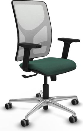 Piqueras y Crespo Schreibtischstuhl in Wassergr&uuml;n, mit 2D-Armlehnen, h&ouml;henverstellbare Lendenwirbelst&uuml;tze, ausgestattet mit 3 Positionen und Schneidschaum, Wei&szlig; / Flasc