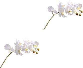 Garneck 2st Phalaenopsis-simulations Gefälschte Pfingstrosen Orchidee Gefälschte Pflanze Blumen Gefälschte Reben Fälschung Künstliche Pflanzen Simulierte Phal