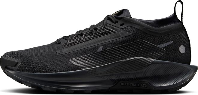 Nike Nike FQ0912-001 Nike Pegasus Trail 5 Gore-TEX Damen Black/Wolf ...