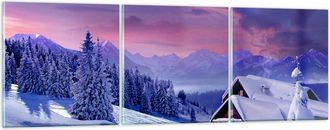 Arttor Mehrteilige Bilder auf Glas Winter Landschaft Frost Schnee Glasbild 90x30cm Wandbilder Dekoration Wohnzimmer Schlafzimmer Küche Set 3 teilige Klein Wa