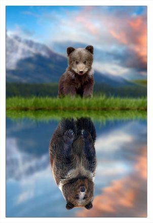 Wallario selbstklebendes Poster - Zukunftsaussichten, Aufkleber in Premiumqualit&auml;t, Klebefolie Gr&ouml;&szlig;e: 61 x 91,5 cm (Maxiposter)