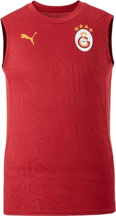 Puma Galatasaray Istanbul Training SL T-Shirt rot, L Herren