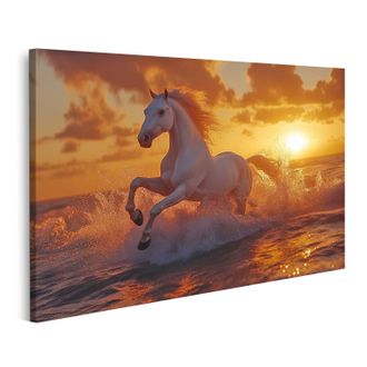 Islandburner Bild auf Leinwand Wei&szlig;es Pferd im Sonnenuntergang am Meer Bilder Wandbilder Poster