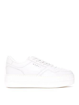 Hogan Baskets - Skyscraper