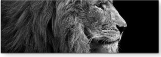 Paul Sinus Art Leinwandbilder | Bilder Leinwand 120x40cm Portrait Löwe schwarz/weiß
