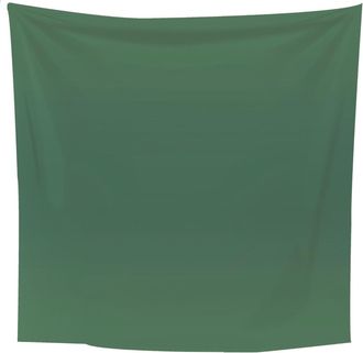 Generic Wandteppich Gr&uuml;n 220x240 cm Gro&szlig; Wandteppiche Einfarbiger Hintergrund 3d Druck Wandbehang Tapisserie Wandtuch f&uuml;r Wohnzimmer Schlafzimmer Wohnheim Wan