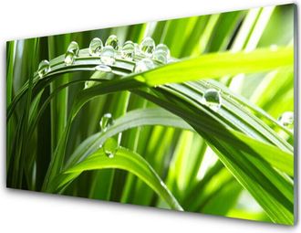 Tulup Glasbilder 100x50cm - Wandbild Druck auf Glas XXL Panorama-Bild Wandbilder aus Echt-Glas Sicherheitsglas Kunstdruck f&uuml;r K&uuml;che Wohnzimmer Gras Wassertr