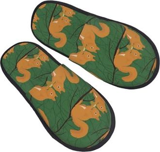 Generic Mignon &Eacute;cureuil Homme Femme Chaussures De Maison Chaud Slippers L&eacute;g&egrave;res Chaussons Pour Maison Hiver Int&eacute;rieur M