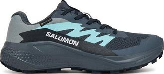 Salomon Laufschuhe Alphaglide Gore-Tex L47802500 Grau