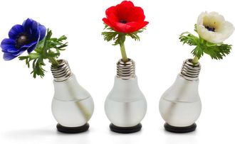 Corpus Delicti 3er-Set Blühbirne - Glühbirnen-Vase - Das Original - Vase für Einzelblumen - Solifleur (3)
