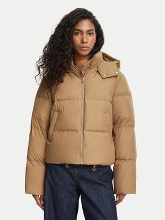 Lacoste Daunenjacke BF8434 Braun Regular Fit