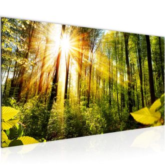 Runa Art Wandbild Wald Landschaft 1 Teilig 100 x 40 cm Modern Bild auf Vlies Leinwand Sonne Schlafzimmer Wohnzimmer Gr&uuml;n 024212a