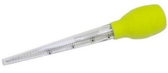 Fackelmann Fackelmann 4105350 Bratenspritze aus Silikon/Edelstahl, Anisgr&uuml;n