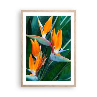 Arttor Wandposter Art Prints 50x70cm Poster Rahmen helle Eiche Himmlisch Vogel Blume Küche Wanddeko Bild Wand Kunstdruck Deko Wandbilder Dekoration Wohnzimme