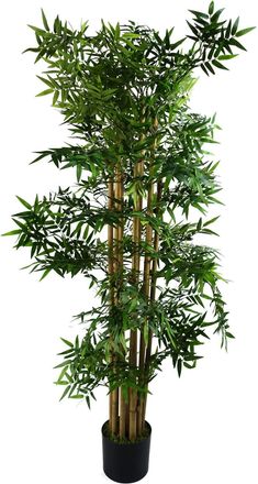 Leaf Tropical-24 Künstliche Orientalische Bambuspflanze, 150cm Höhe