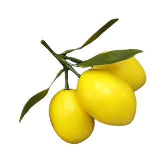 UPKOCH Hochdetaillierte K&uuml;nstliche Zitronen K&uuml;nstliche Zitronen F&uuml;r Tafelaufs&auml;tze Fotografie