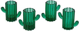 Excelsa Cactus Set mit 4 Schnapsgläsern, Glas