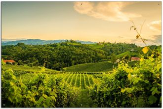 Wallario Outdoor-Poster f&uuml;r Garten oder Balkon Abendlicht &uuml;ber Weinbergen, Motivbanner Gr&ouml;&szlig;e: ca. 60 x 90 cm, Outdoor-Bild