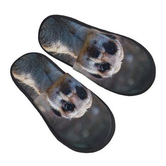 Generic Pantoufle Maison Suricate Mignon, Animaux Adorables Hiver Pantoufles Antid&eacute;rapantes Hiver Chaussures Chaudes Unique Chaussons Maison Pour Camping Mais