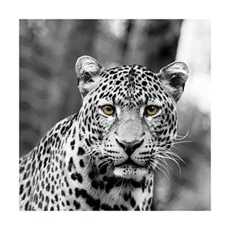 Ceanothe Tableau sur toile l&eacute;opard de face 45x45 cm D&eacute;coration Murale Art D&eacute;coratif Muraux Peinture Imprim&eacute;e en HD Salon Chambre Bureau Bois de For&ecirc;t FSC Fabri