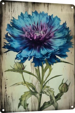 Generic Kornblume Retro Wand Schild Retro Blechschild Funny Metallschilder Für Farmhouse Geschenk Beste Freunde 20X30 Cm