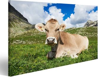 Islandburner Bild Bilder auf Leinwand Brown-Kuh auf Weide des grünen Grases Wandbild Poster Leinwandbild VBU