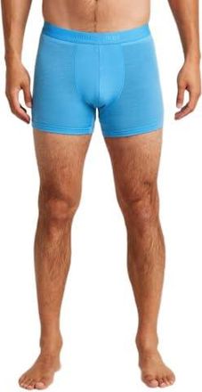 Icebreaker Boxer Anatomica Merino 125 Cool-lite pour homme, Polaire, Large