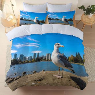 Generic Bettbezug 200 x 200 cm, Mehrfarbig Modern Fotografie Lebendig Tiere M&ouml;we Bettw&auml;sche, Wende Microfaser bettw&auml;sche f&uuml;r Jungen M&auml;dchen Bettbezug mit 2 Ki