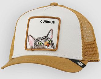 Goorin Brothers Curious Cat Mini Cap amber