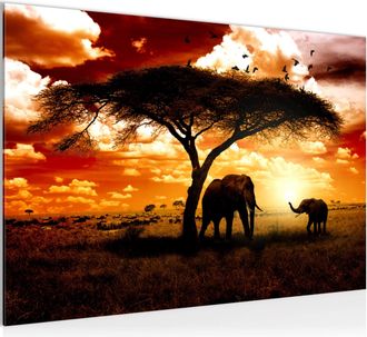 Runa Art Bild Afrika Sonnenuntergang Modern Wandbilder Wohnzimmer Schlafzimmer 1 Teilig - Made In Germany - Elefant Savanne Orange Flur 001515a