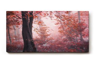 Paul Sinus Art Sinus Art Wandbild 100x50cm Roter Herbstwald mit dichter Vegetation und nebligem Licht - geheimnisvoll und bezaubernd